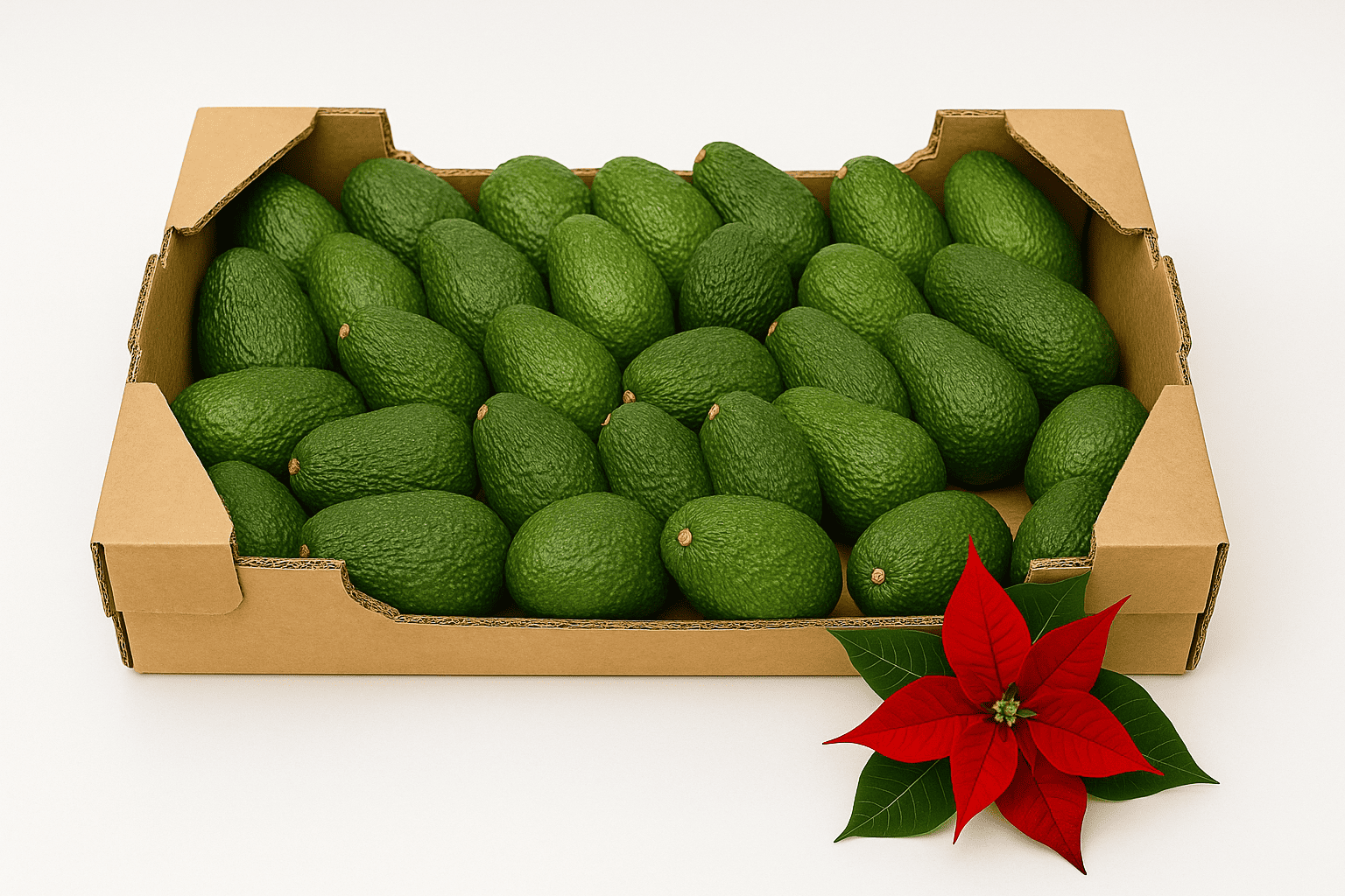 Angebote - Salzachblume 2025